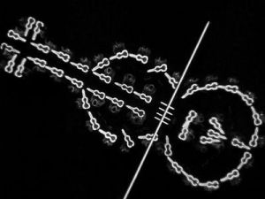 Busby Berkeley Choreography: Geometric Gems – Outspoken & Freckled